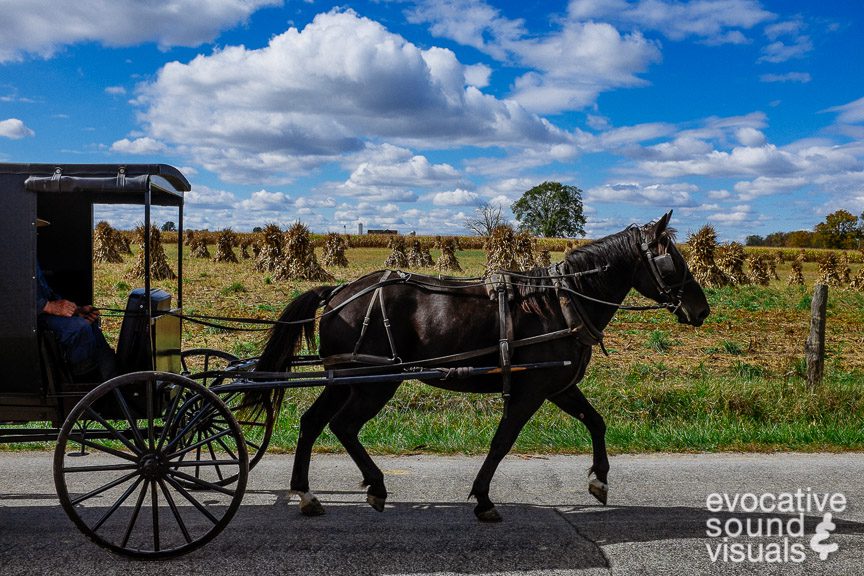 shocked_corn_and_amish_buggy_ohio-010 - Evocative Sound and Visuals